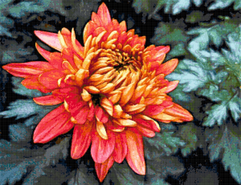 Chrysanthemum Free Cross Stitch Pattern Better Cross Stitch chrysanthemum-free-cross-stitch-pattern-better-cross-stitch